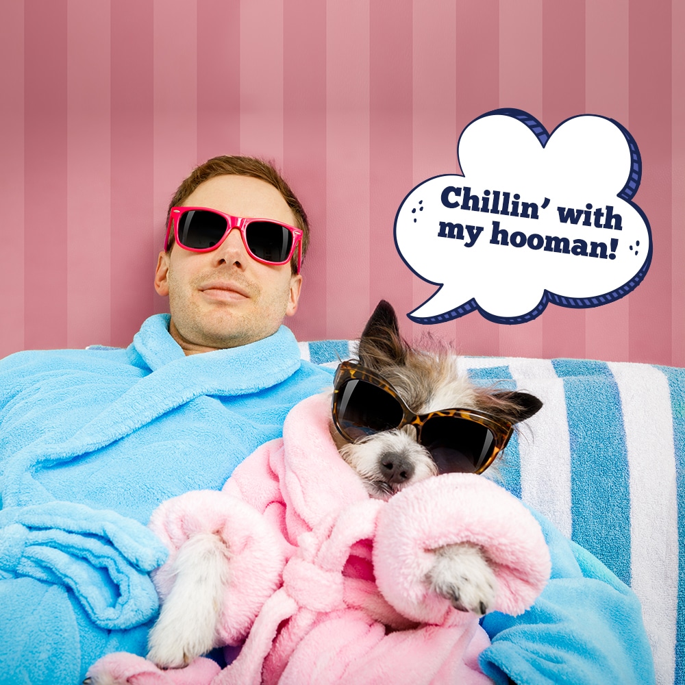 6 Awesome Things to Do with Your Dog - Awesome Pawsome Pet Treats