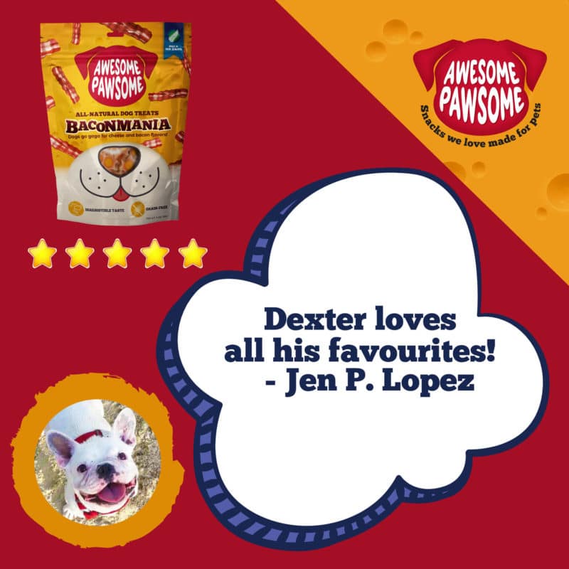 Baconmania - Awesome Pawsome Pet Treats